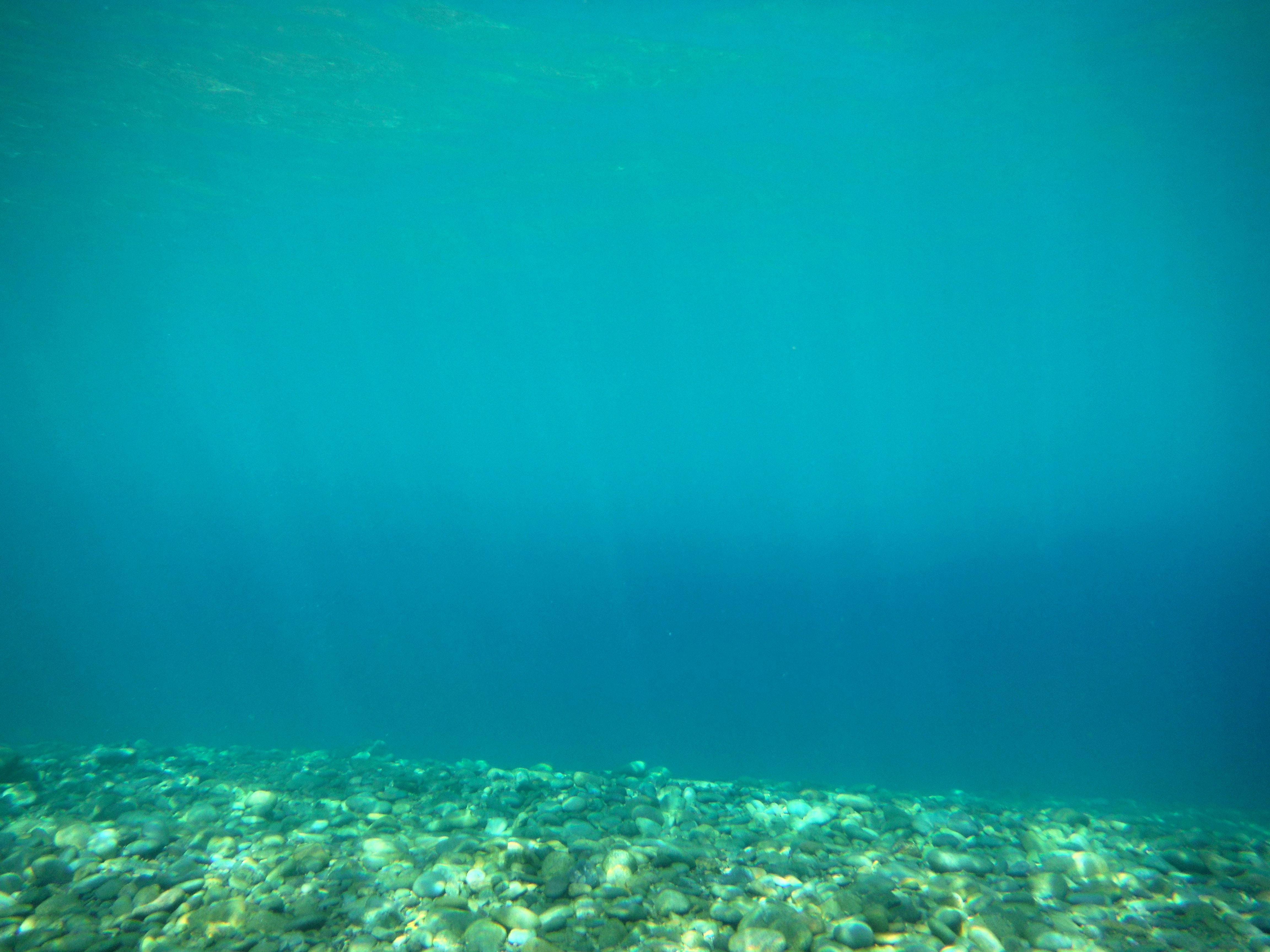 PURIST COLLECTIVE – Legend Coastal